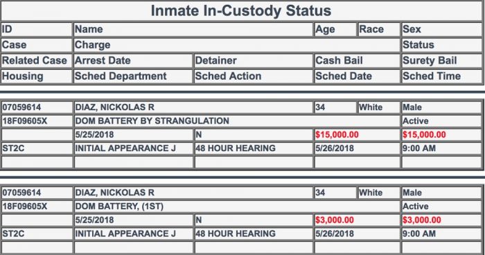 Nick Diaz Arrested on Domestic Violence Charges (UPDATED) - MMAnytt.com